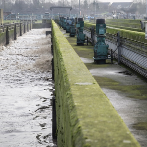 WPYE – WPYEtestsite